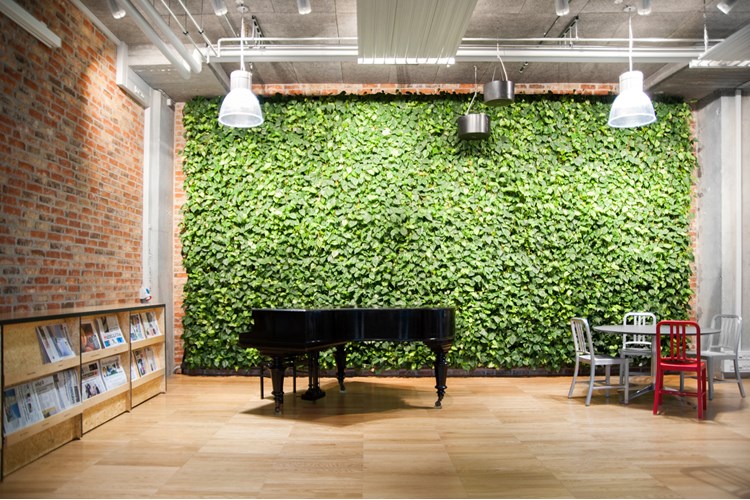 Biophilic library design Biophilic library design